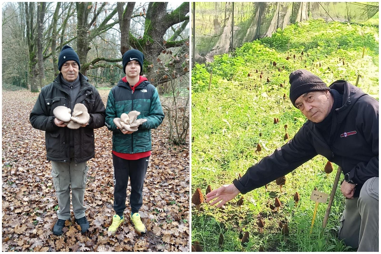 La storia di Luigi, il re dei funghi: "Da una pentola a pressione alle ...
