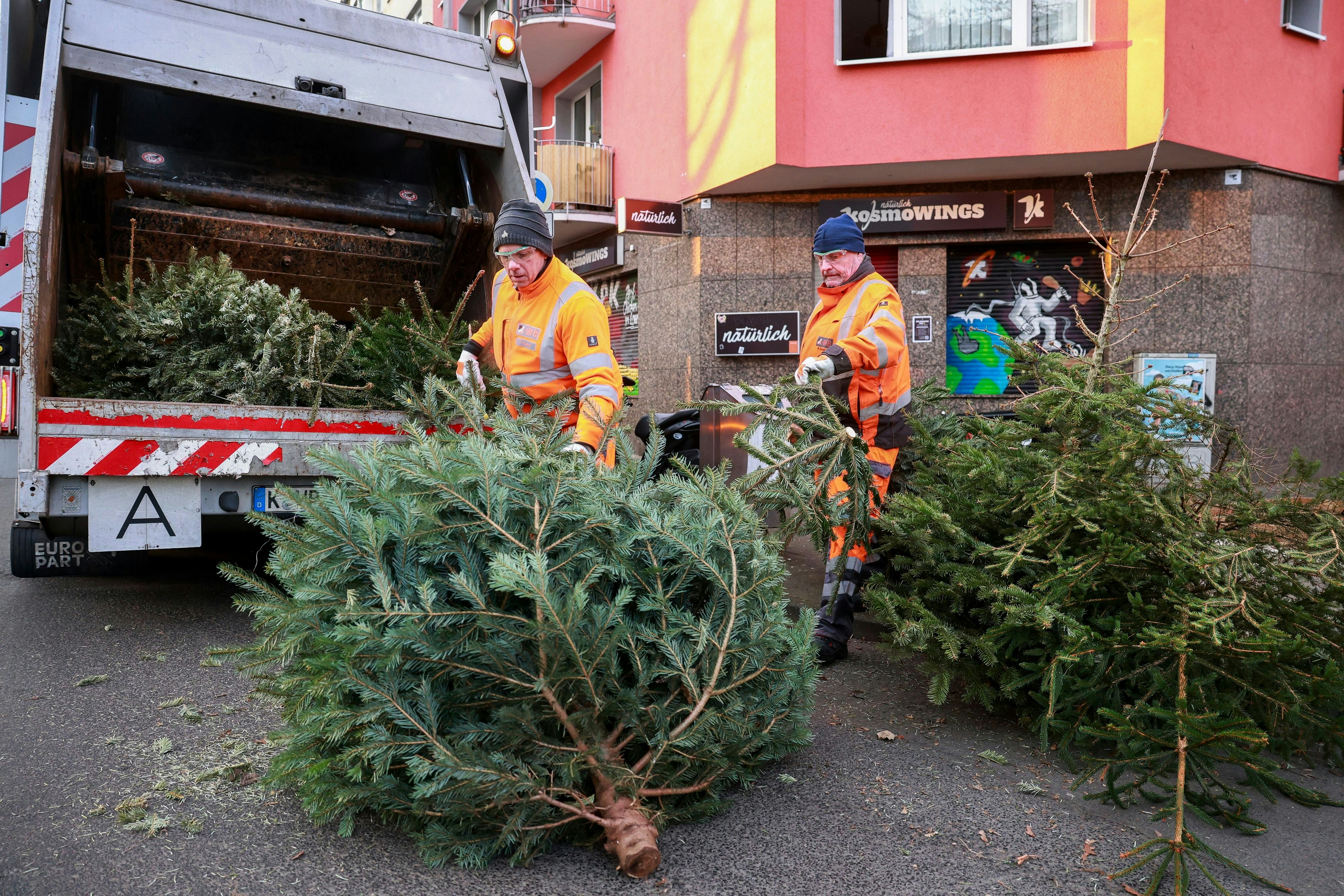 Vom 8. bis 23. Januar: AWB Köln holt Weihnachtsbäume kostenlos ab