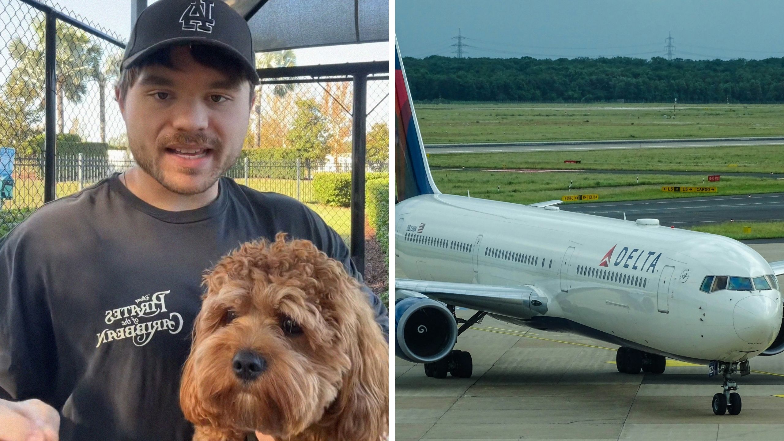 ‘This is why there are so many fake service dogs at the airport’: Tampa ...