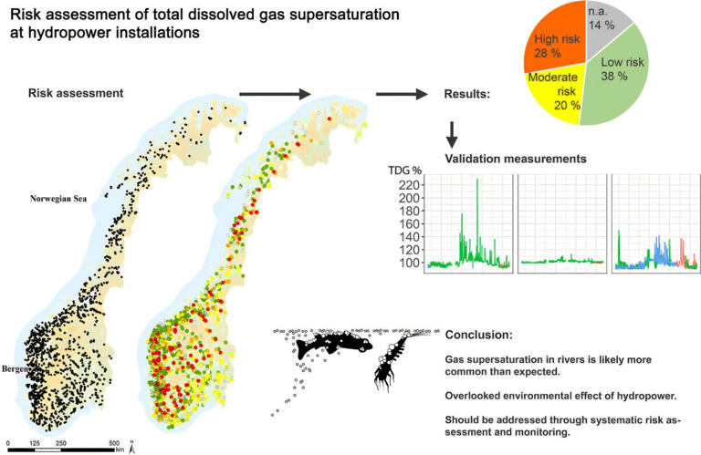 Decompression sickness in fish reveals hidden risks of hydropower ...