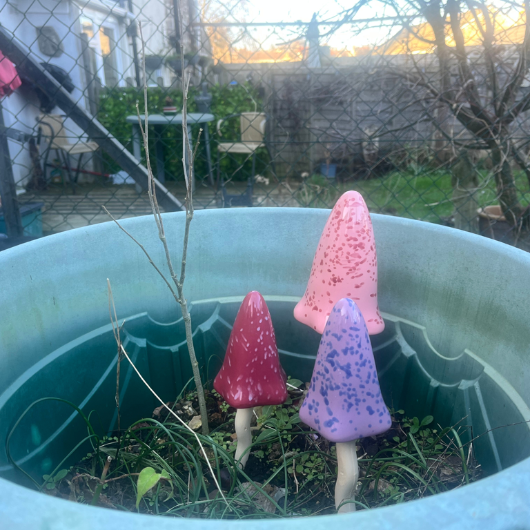 Tinkling toadstools earned me serious brownie points when I gifted a ...