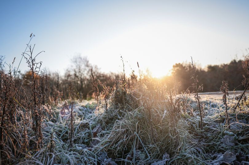 Cold health alert issued for Humber region as New Year temperatures set ...