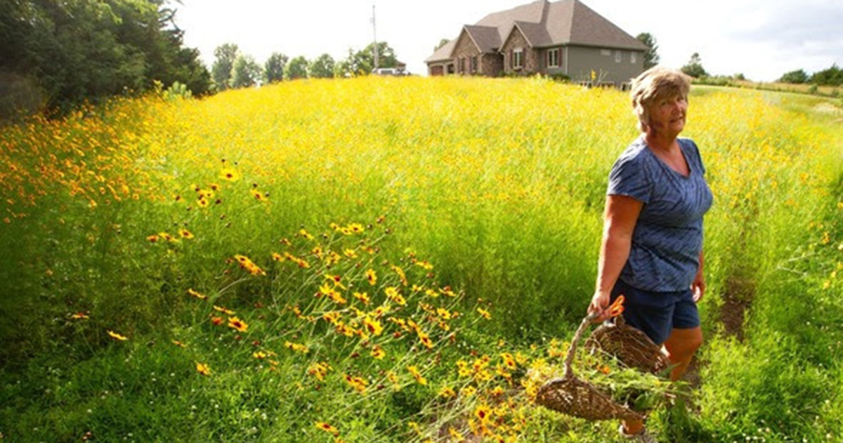 Groups to sponsor event on trees, wildflowers, pruning and more