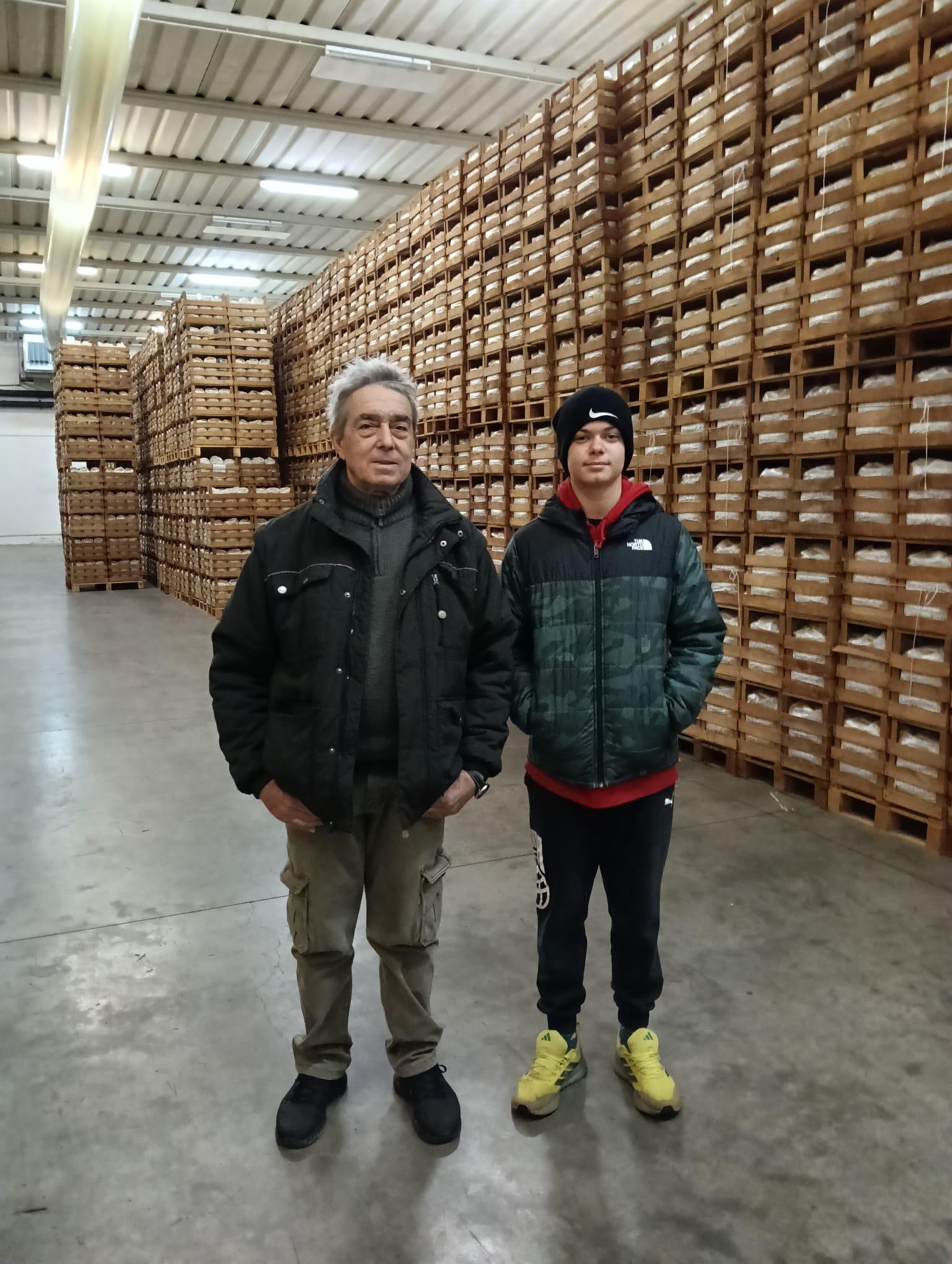 La storia di Luigi, il re dei funghi: "Da una pentola a pressione alle ...