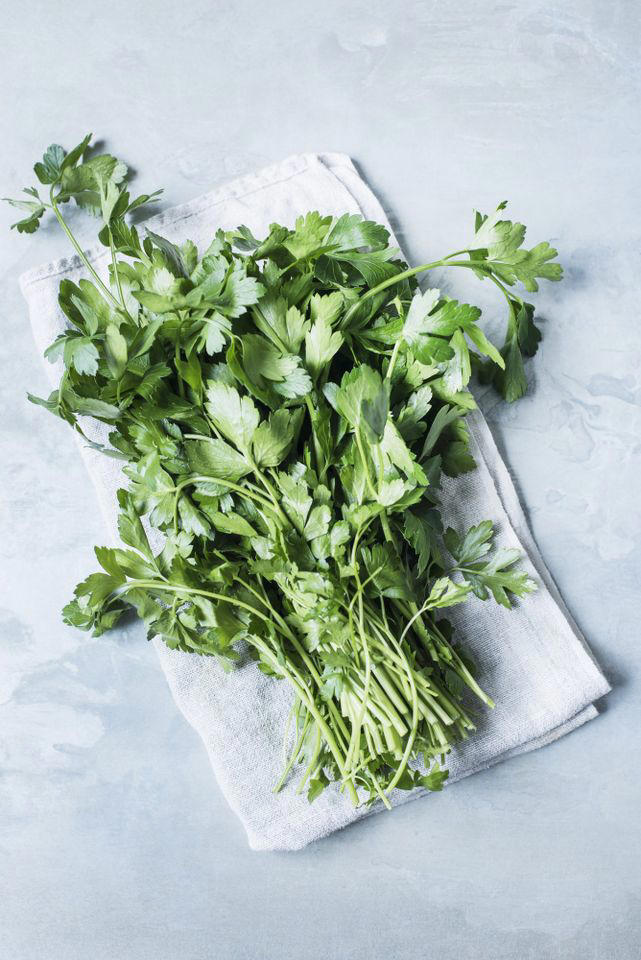 How to store cilantro in the refrigerator and freezer
