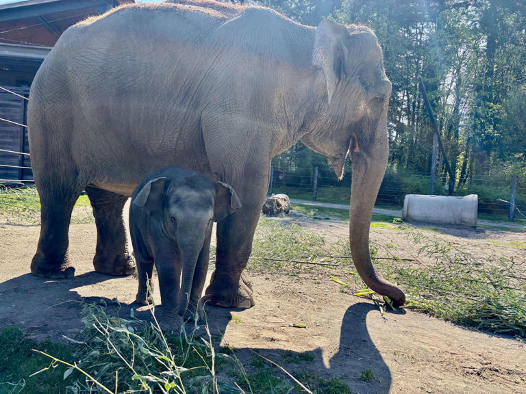 What’s in and out for 2026