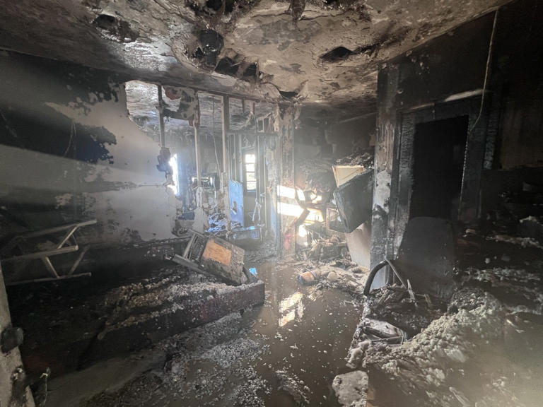 Child among 12 people impacted, along with cat, by Overtown fire ...