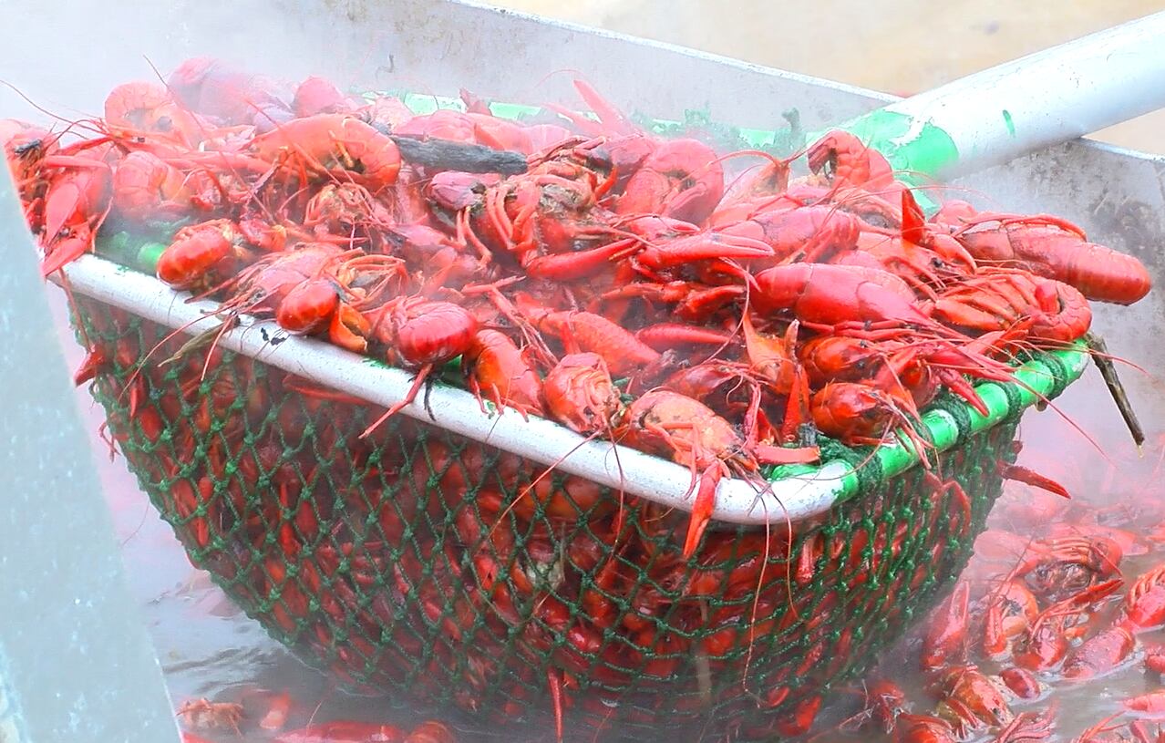 2026 Metalbug Music Festival to feature Powerman 5000, other well-known ...