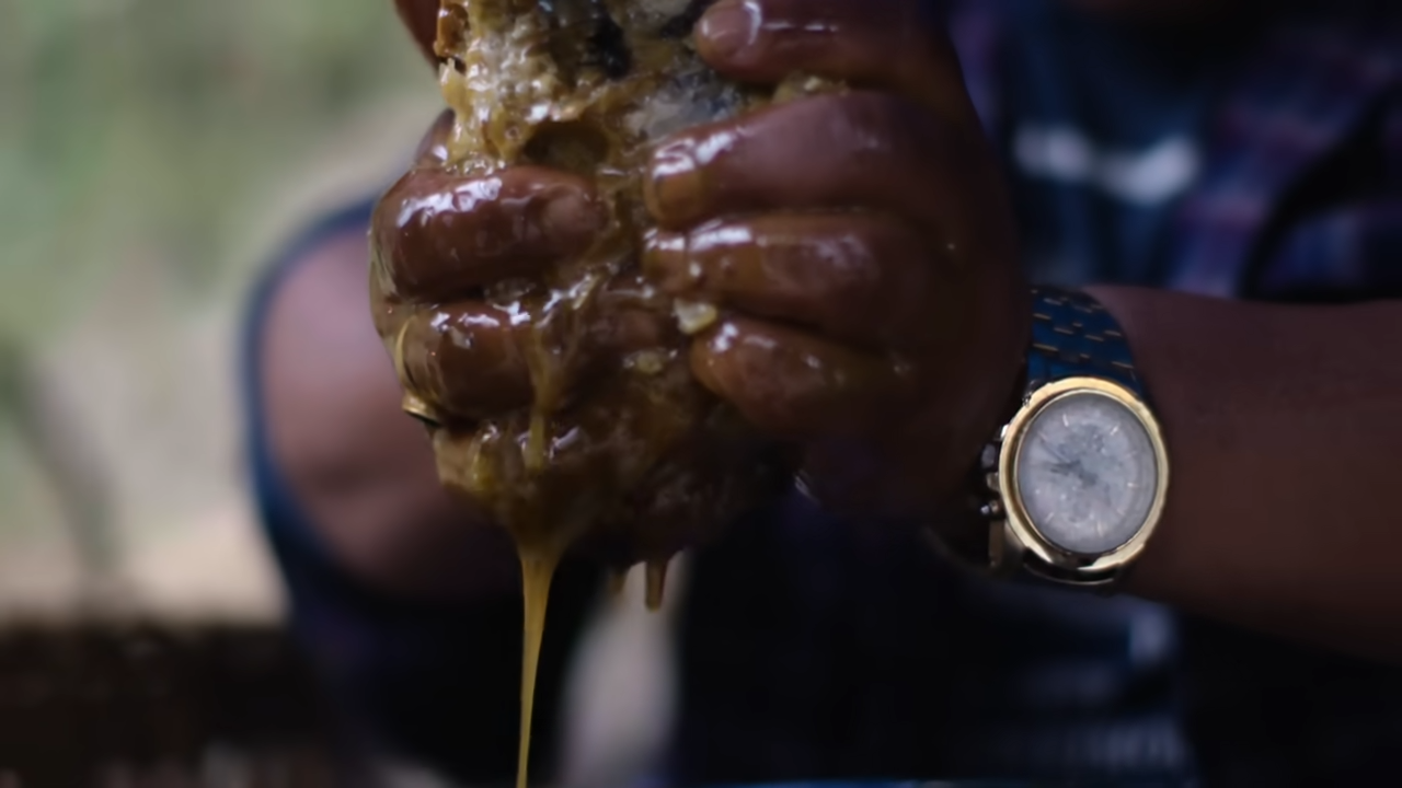 This honey makes you hallucinate - and getting it is very risky