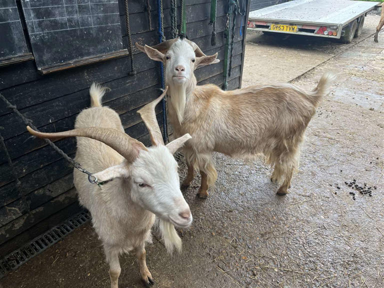 New Year Honours 2026: The 20 people in Kent recognised in the King’s ...