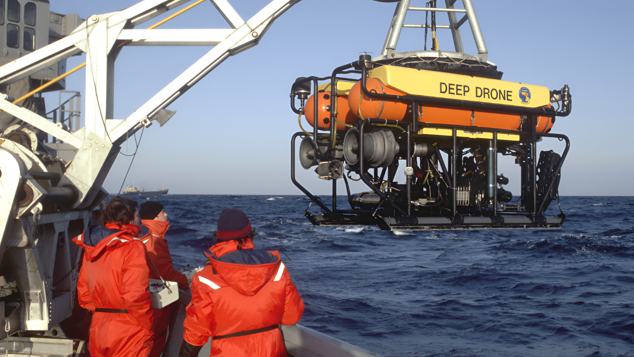 Navy-led team photographs elusive ‘ghost’ whale alive for first time ...