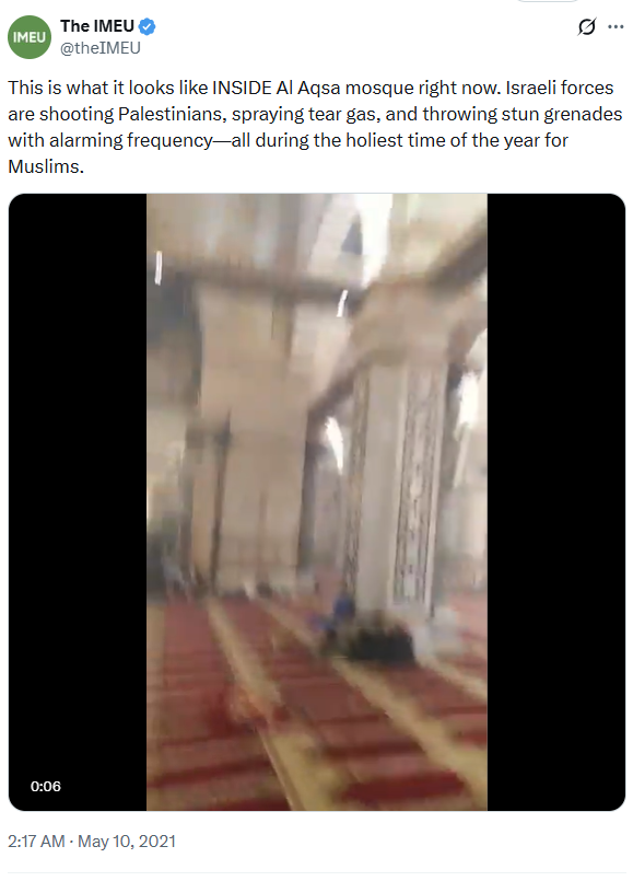 Terry Newman: Greta's journey from child climate activist to terrorist ...