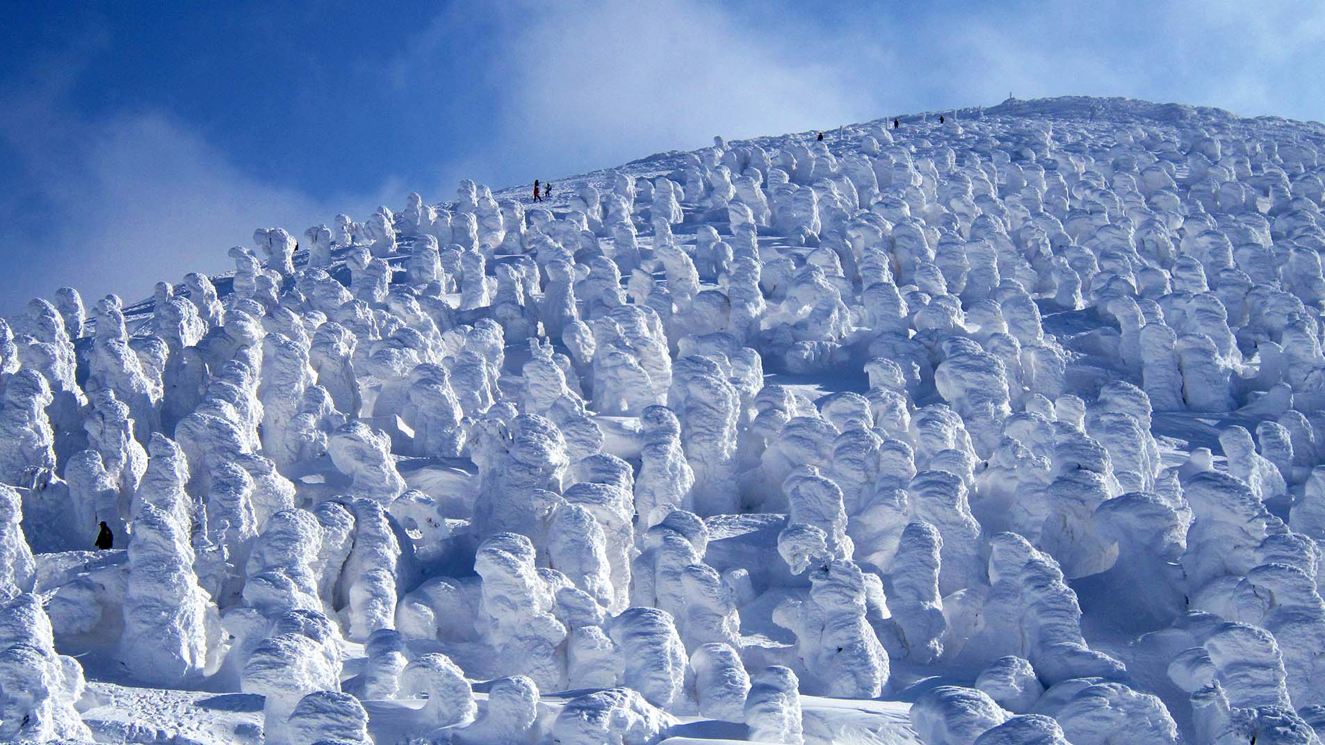 Where in the world are the 'snow monsters'?