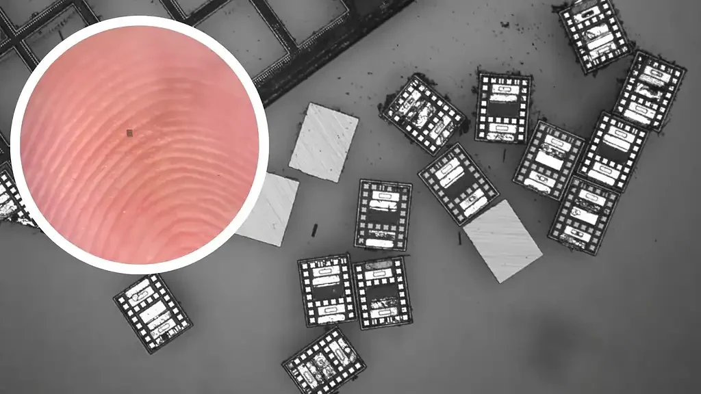 Scientists just built programmable robots the size of bacteria that can ...