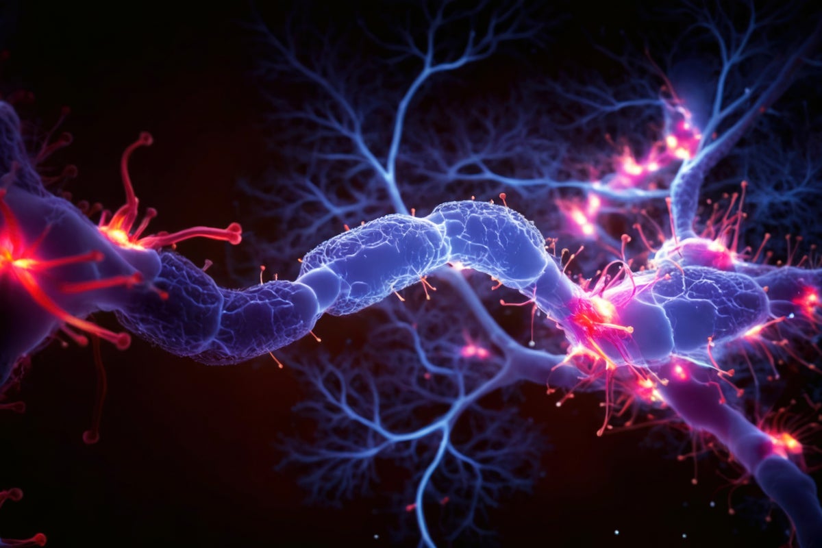 Breakthrough MS study identifies two new types in hopes for treatment