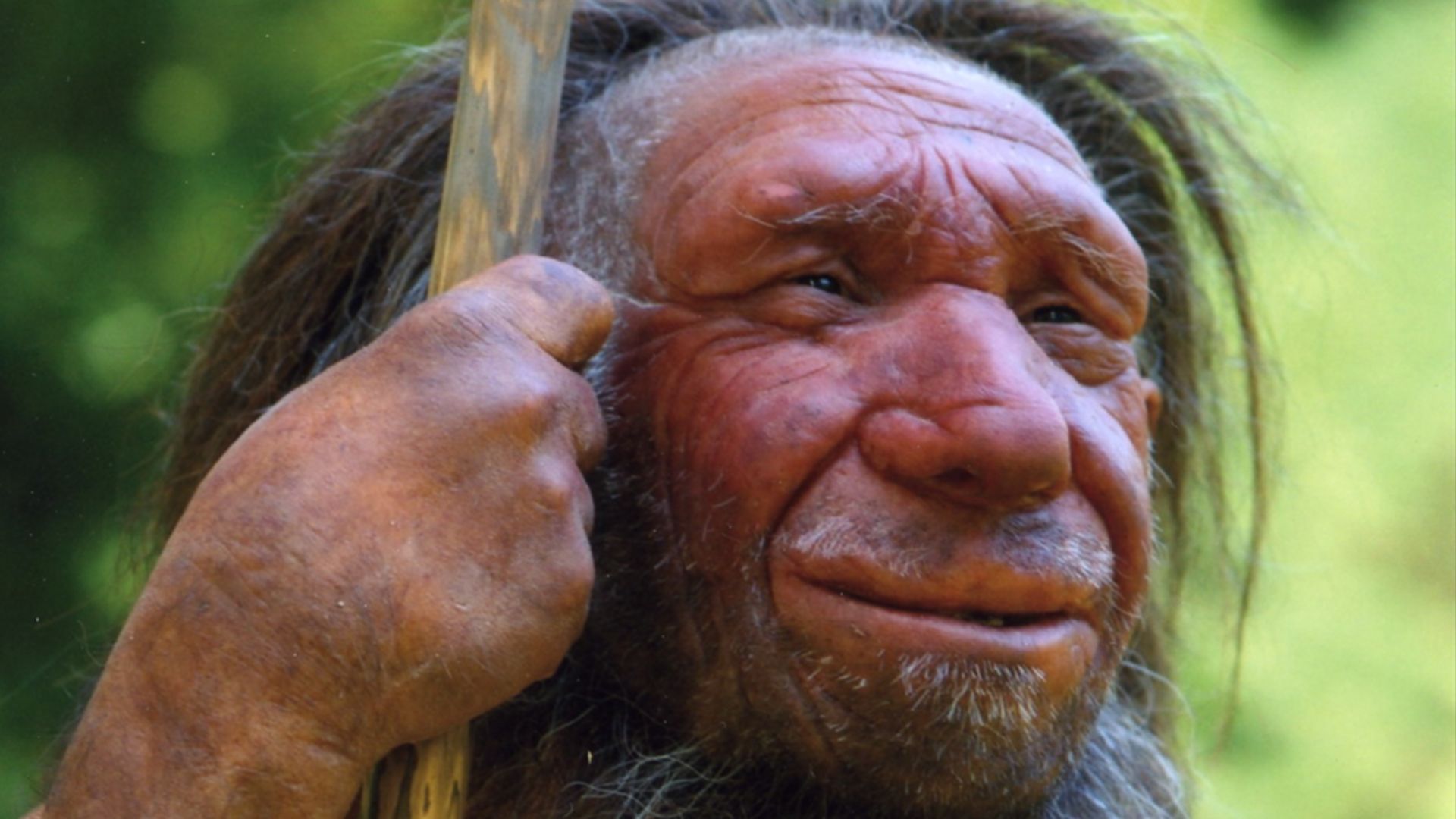 Signs your body may carry Neanderthal traits