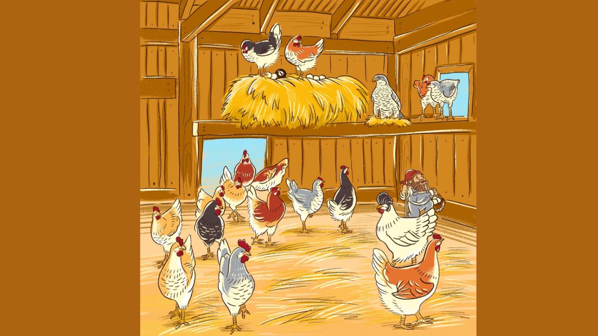 To test your hawk-eye vision, try to find all the errors in this ...