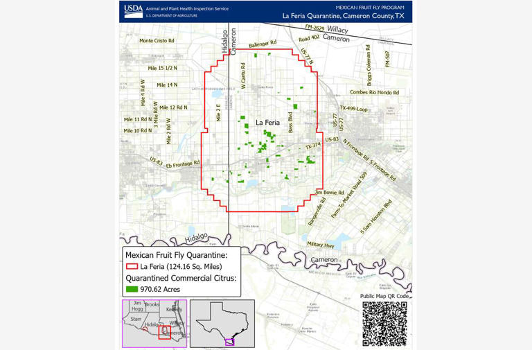 New pest threatens Texas citrus industry, sparking quarantines
