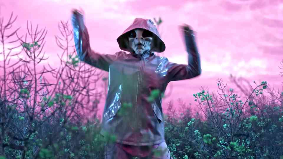 Convergent evolution; would aliens really look like us?