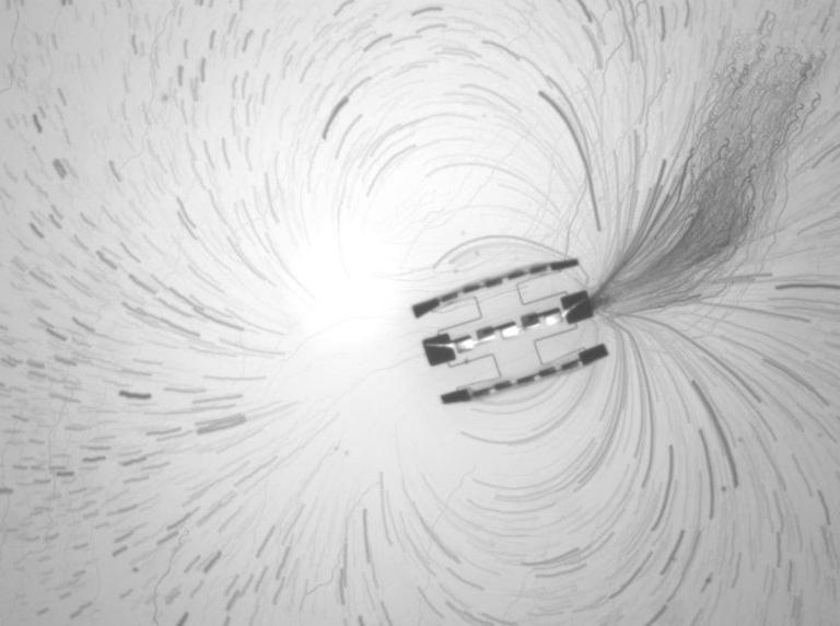 Scientists just built programmable robots the size of bacteria that can ...