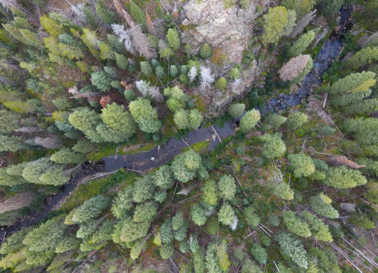 Bird-dogging DOGE, trailing chems, saving the Tetons and crossing ...