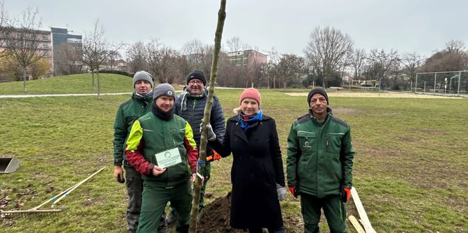 Baumbilanz 2025: 836 neue Bäume für ein grüneres Graz