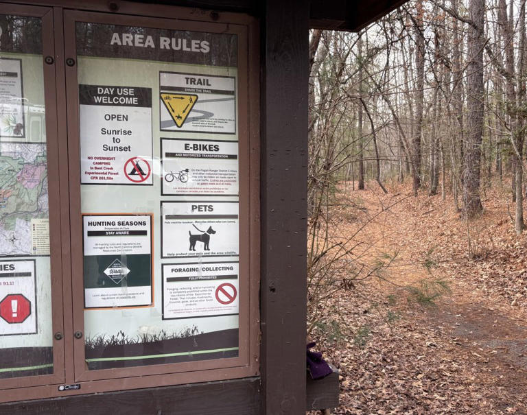 Answer man: Hunting allowed in Bent Creek’s recreation areas? Asheville ...