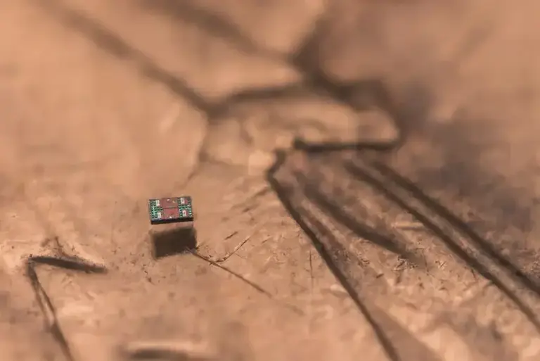 Scientists just built programmable robots the size of bacteria that can ...