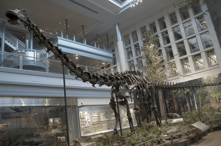 Largest dinosaur foot unearthed reveals hidden Jurassic giant