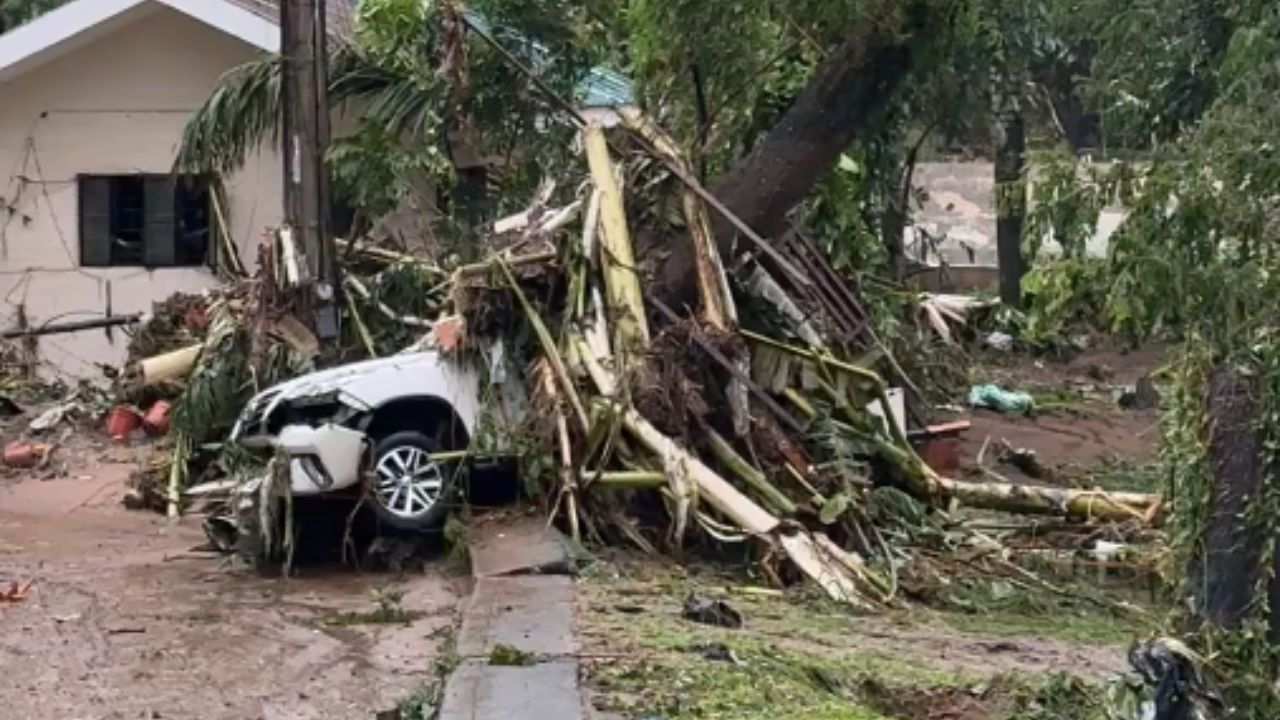 Cebu City, Philippines: Cars and trees incur massive damage during ...