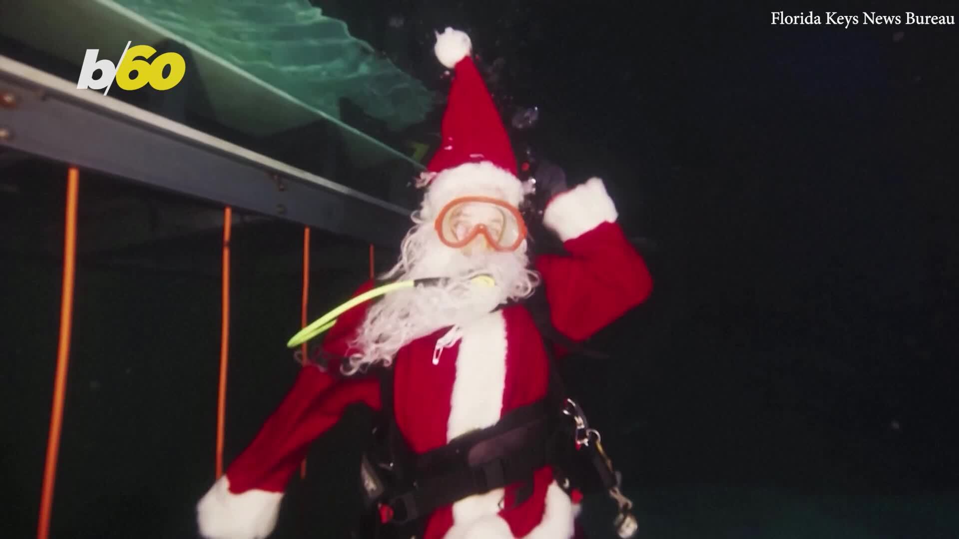 Watch this Florida Santa take a dive and swim with the fish