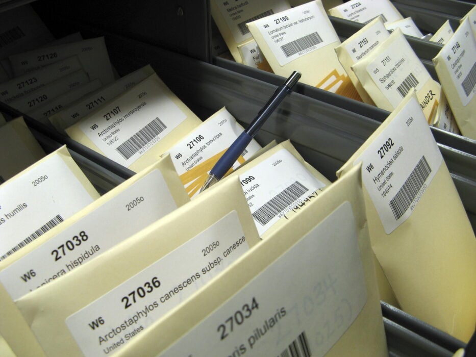 Inside the seed vaults protecting the world’s plants from extinction