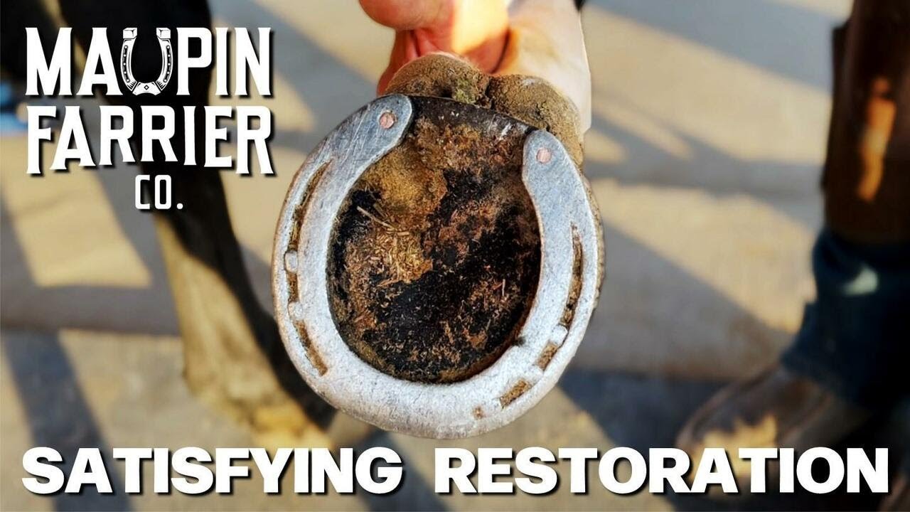 Replacing a horse pad: satisfying hoof restoration