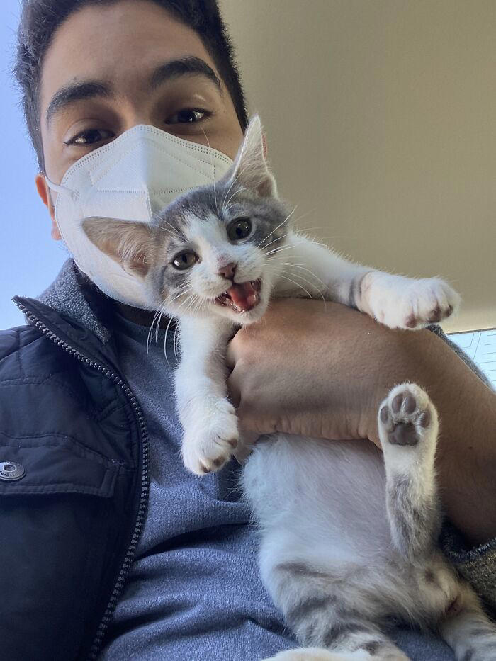 There’s a group where people share pics of cats meowing so loud you can ...