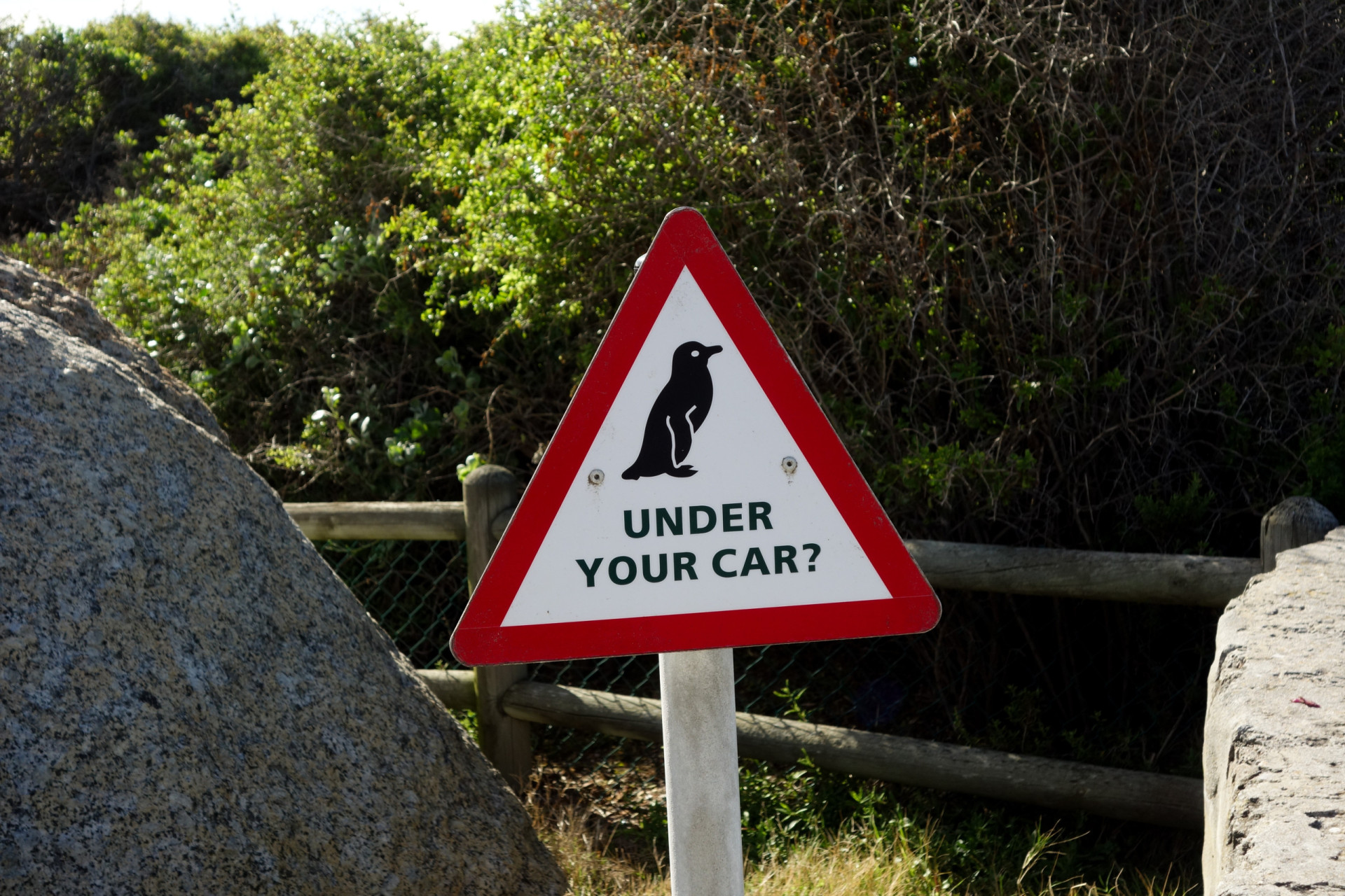 Funny and unusual traffic signs across the globe