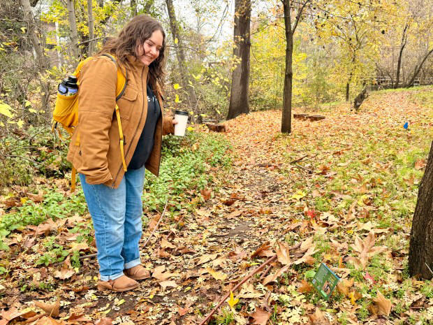 Chico State rebuilds sustainability efforts with Green Campus projects