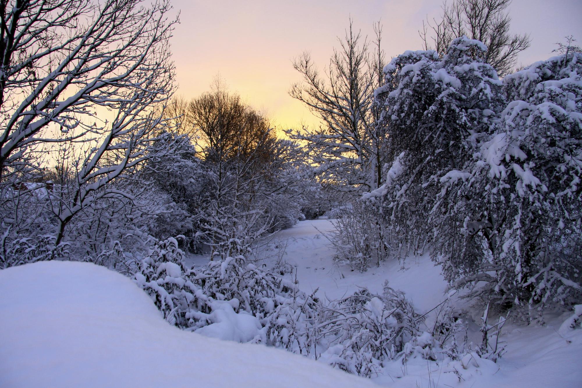 'Rise in deaths' cold weather warning issued for Derbyshire ahead of ...