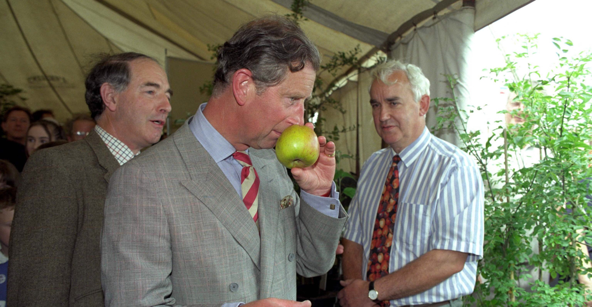 Is an apple a day really good for you?