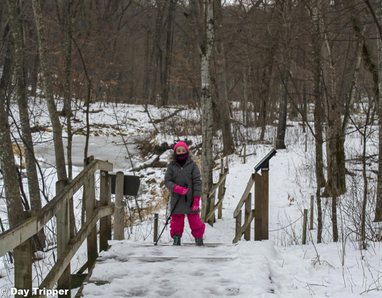 New Year’s resolution hikes in Minnesota: 10 winter trails for ...