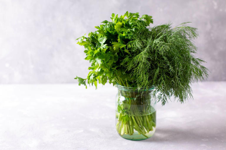 How to store cilantro in the refrigerator and freezer