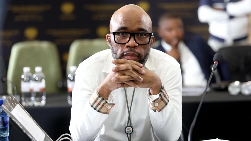 Madlanga Commission | Witness stayed at Cat Matlala’s house for safety