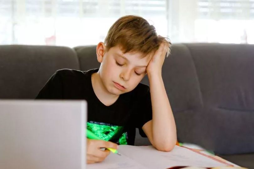 Irish legal age for leaving children home alone at night or on school ...