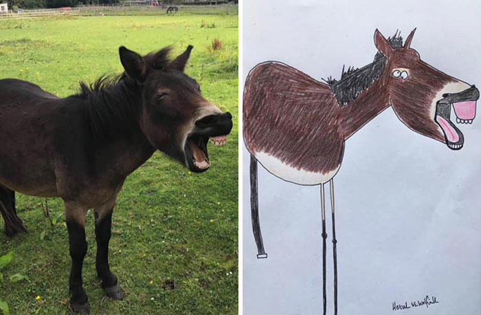 29 animal portraits drawn so badly, they look like masterpieces