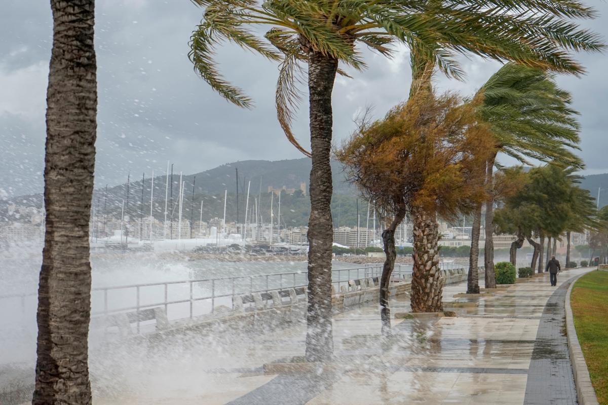 Mallorca: Was kann man bei schlechtem Wetter machen?