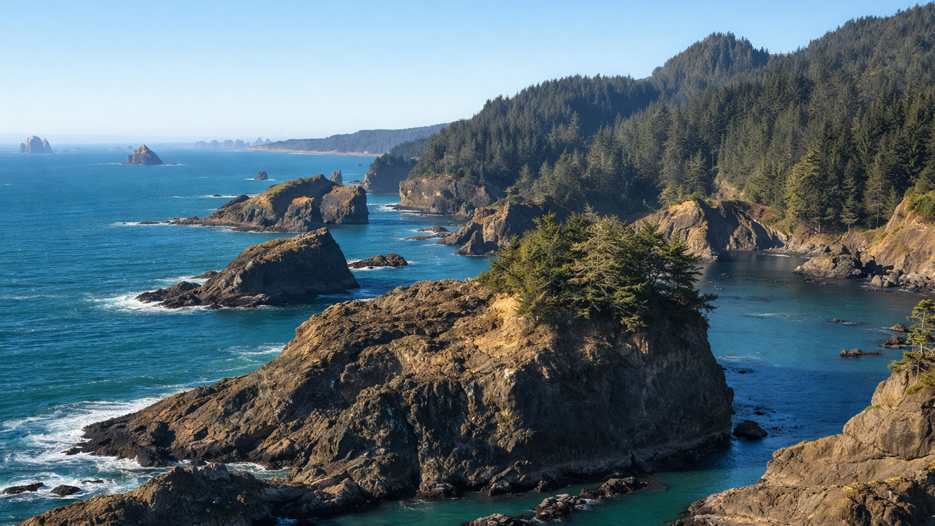 Would you explore this rocky shoreline?