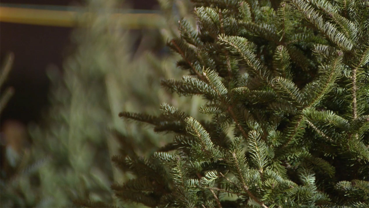 Waukesha Christmas tree pickup, drop-off options; what to know