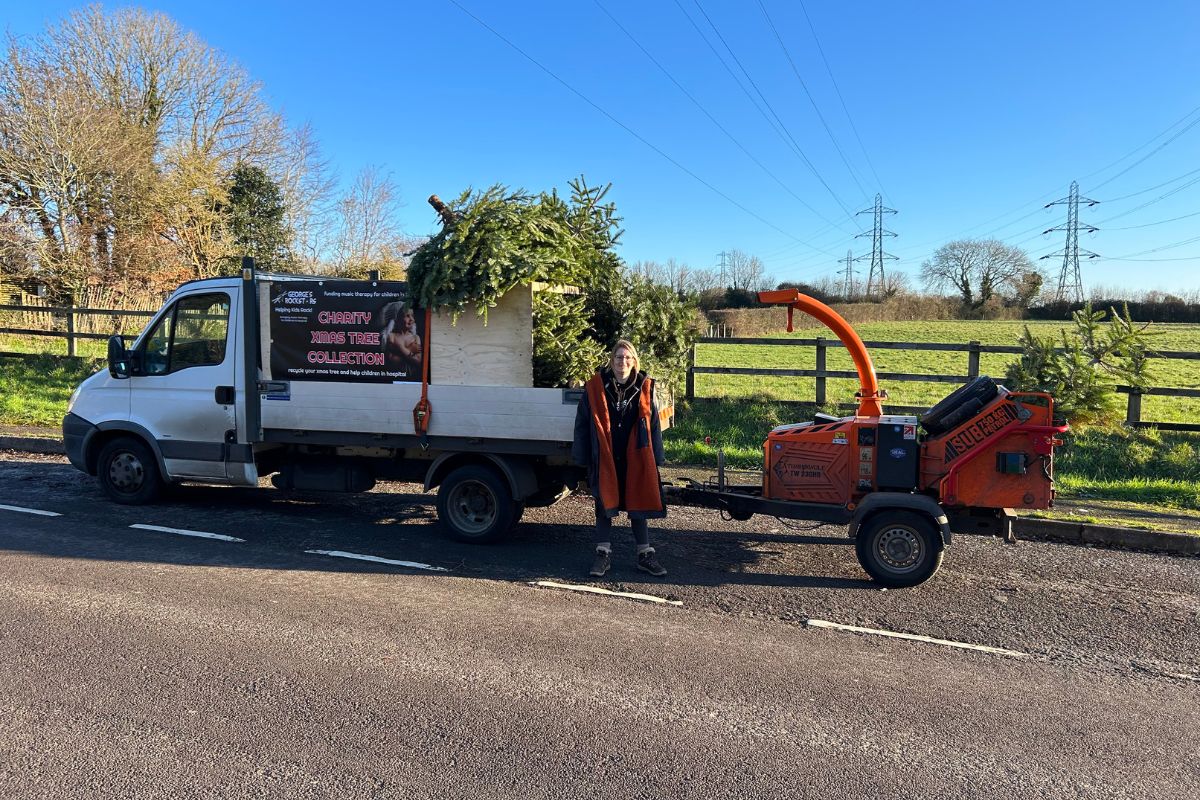 Christmas tree collections on offer to Portsmouth residents to raise ...