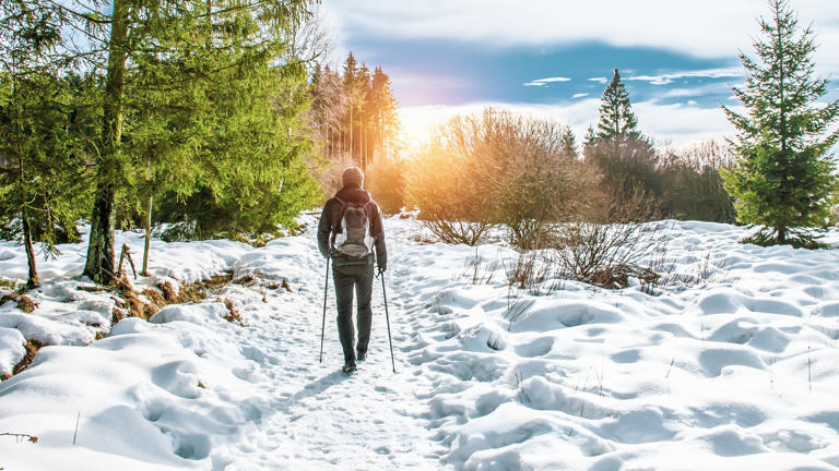 Must-haves for winter walks: toasty jackets, warm gloves, reflective ...