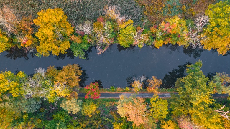 Most scenic drives to take in Vermont