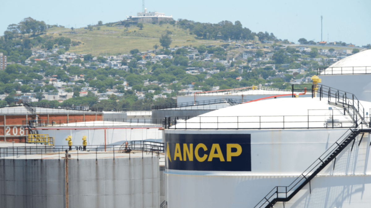 El Poder Ejecutivo decretó nuevos valores para la nafta y el gasoil